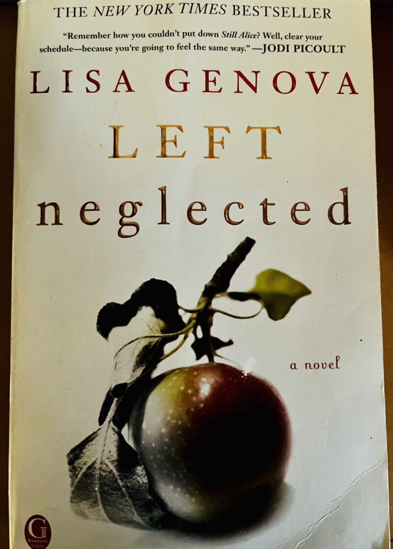 Blog - Shireen Jeejeebhoy